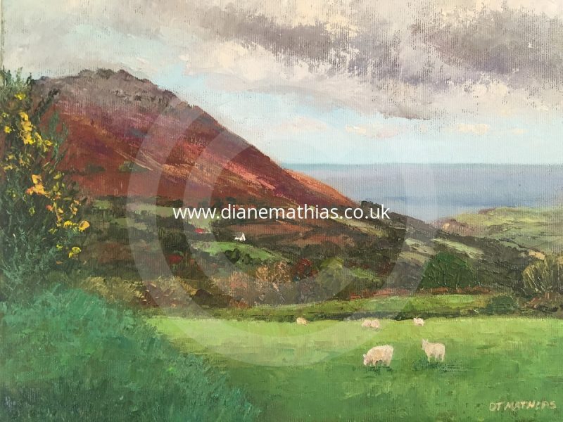 Carningli - Original Oil - Diane Mathias