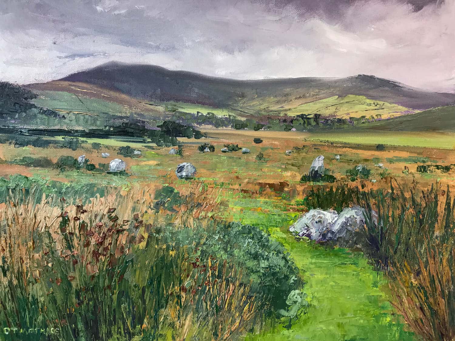 Cylch Cerrig Gors Fawr - Diane Mathias