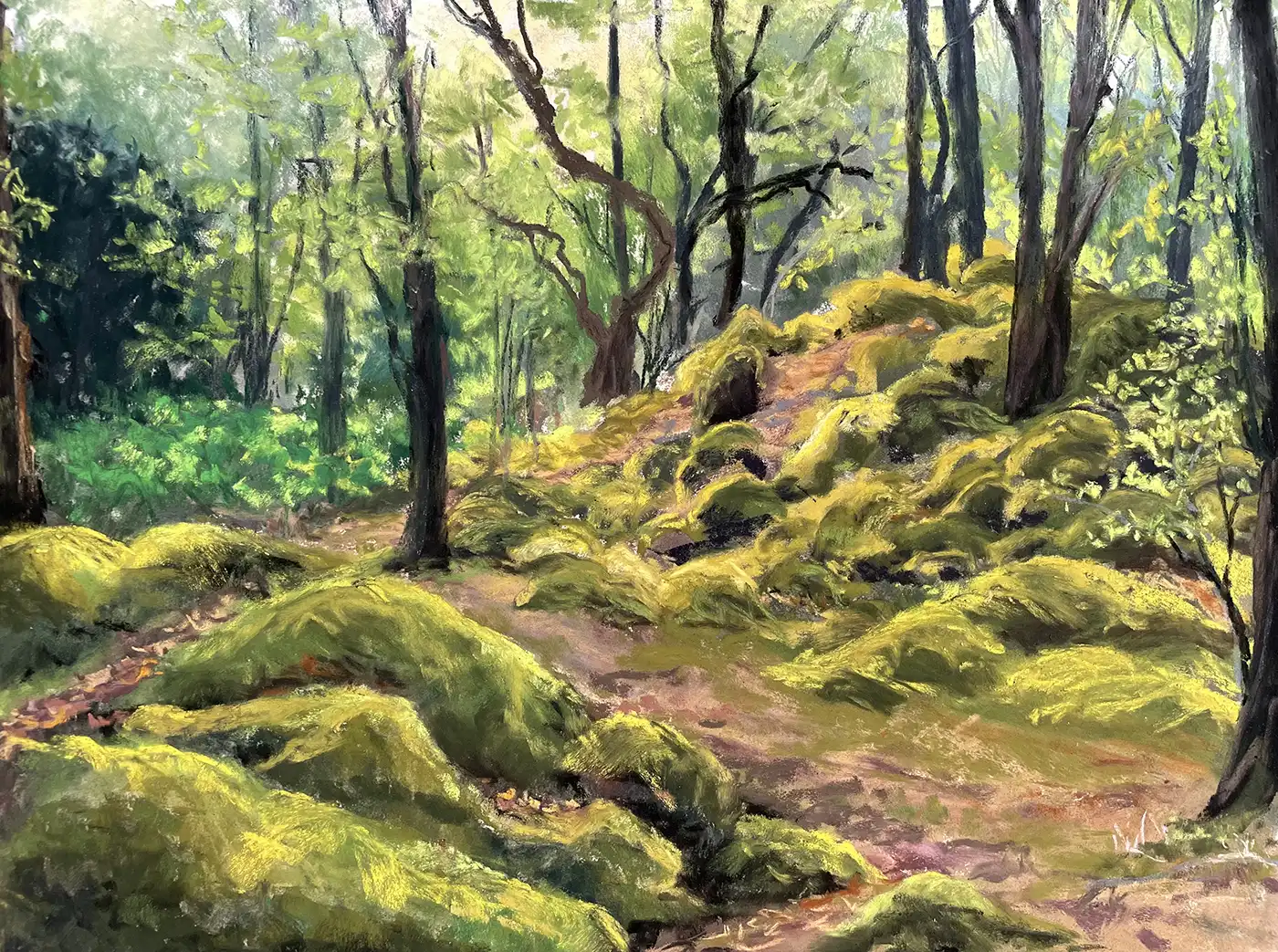 Ty Canol Woods - Diane Mathias